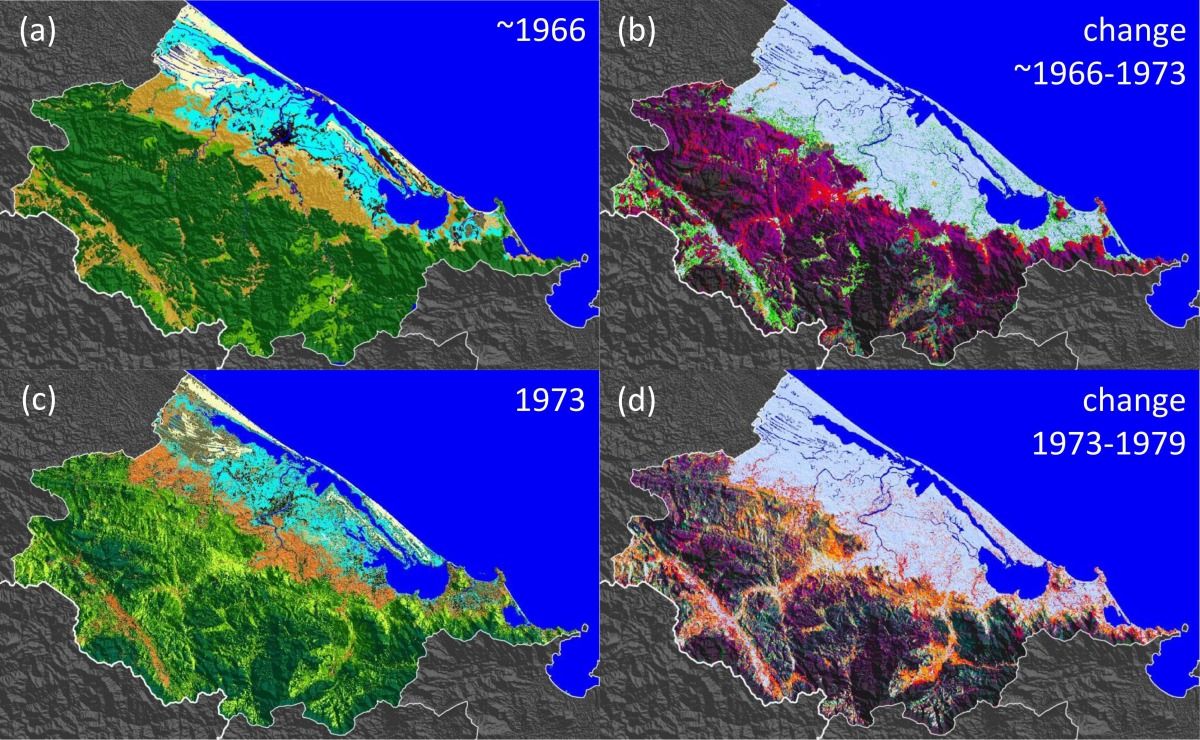 Christian Kull on LinkedIn: Understanding ‘forest transitions to ... Christian Kull on LinkedIn: Understanding ‘forest transitions to ...
