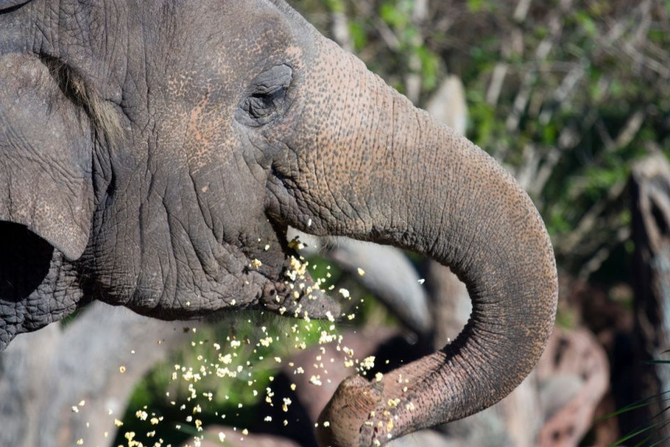 United States PostgreSQL Association on LinkedIn: United States ... United States PostgreSQL Association on LinkedIn: United States ...
