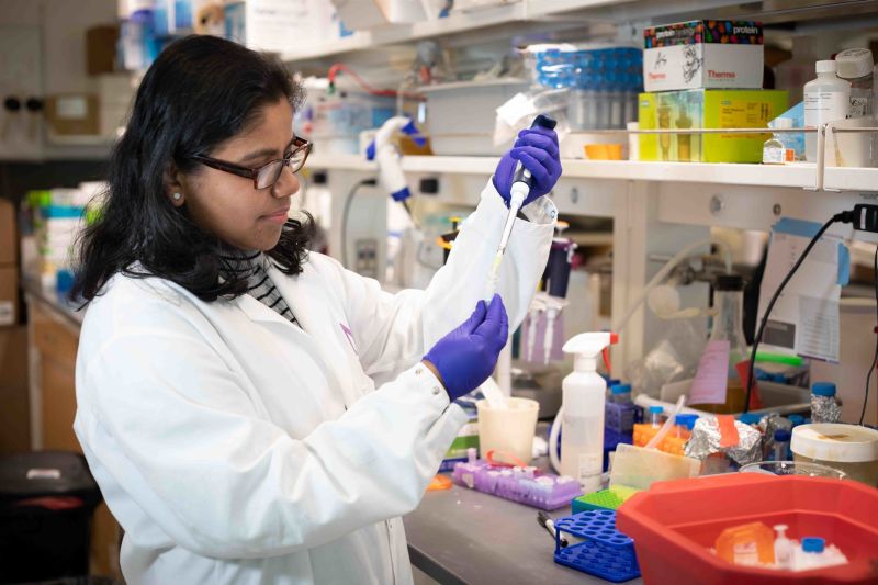 Northwestern University - The Feinberg School of Medicine on LinkedIn ... Northwestern University - The Feinberg School of Medicine on LinkedIn ...