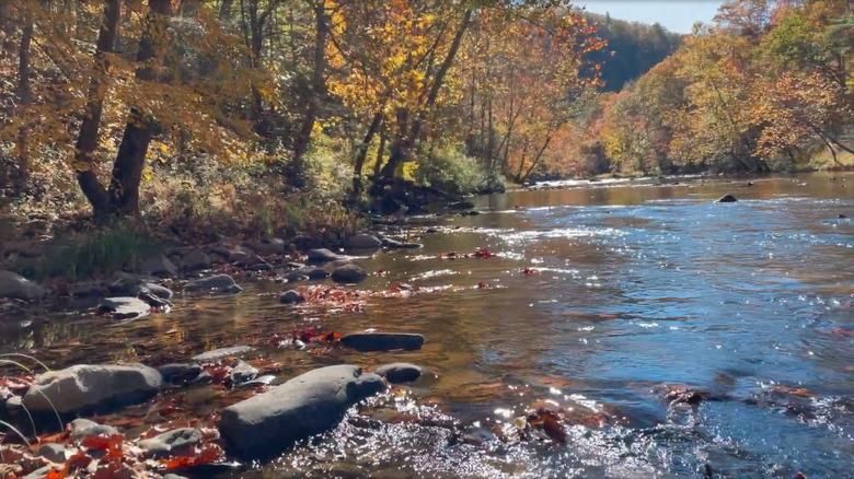 Andrea Bond on LinkedIn: This Lesser-Known National Park On A West ... Andrea Bond on LinkedIn: This Lesser-Known National Park On A West ...