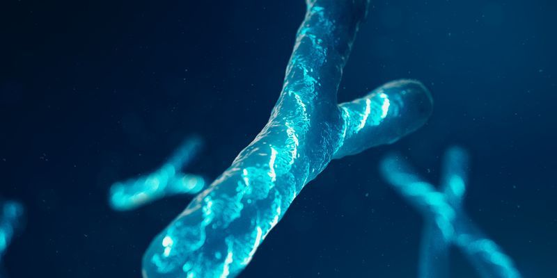 Lab Manager on LinkedIn: Researchers Fully Sequence the Y Chromosome ... Lab Manager on LinkedIn: Researchers Fully Sequence the Y Chromosome ...