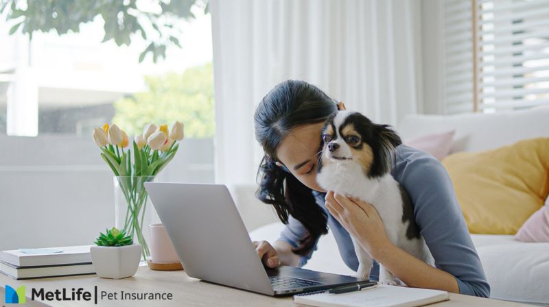 MetLife Pet Insurance on LinkedIn: Employers are pet parents, too ... MetLife Pet Insurance on LinkedIn: Employers are pet parents, too ...
