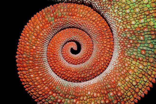 Masayuki Hatta on LinkedIn: Lisp Design Patterns Masayuki Hatta on LinkedIn: Lisp Design Patterns