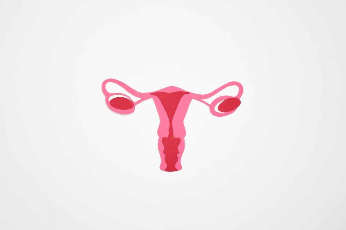 Manuel Nunez, MD on LinkedIn: Endometriosis: Understanding the Silent ... Manuel Nunez, MD on LinkedIn: Endometriosis: Understanding the Silent ...