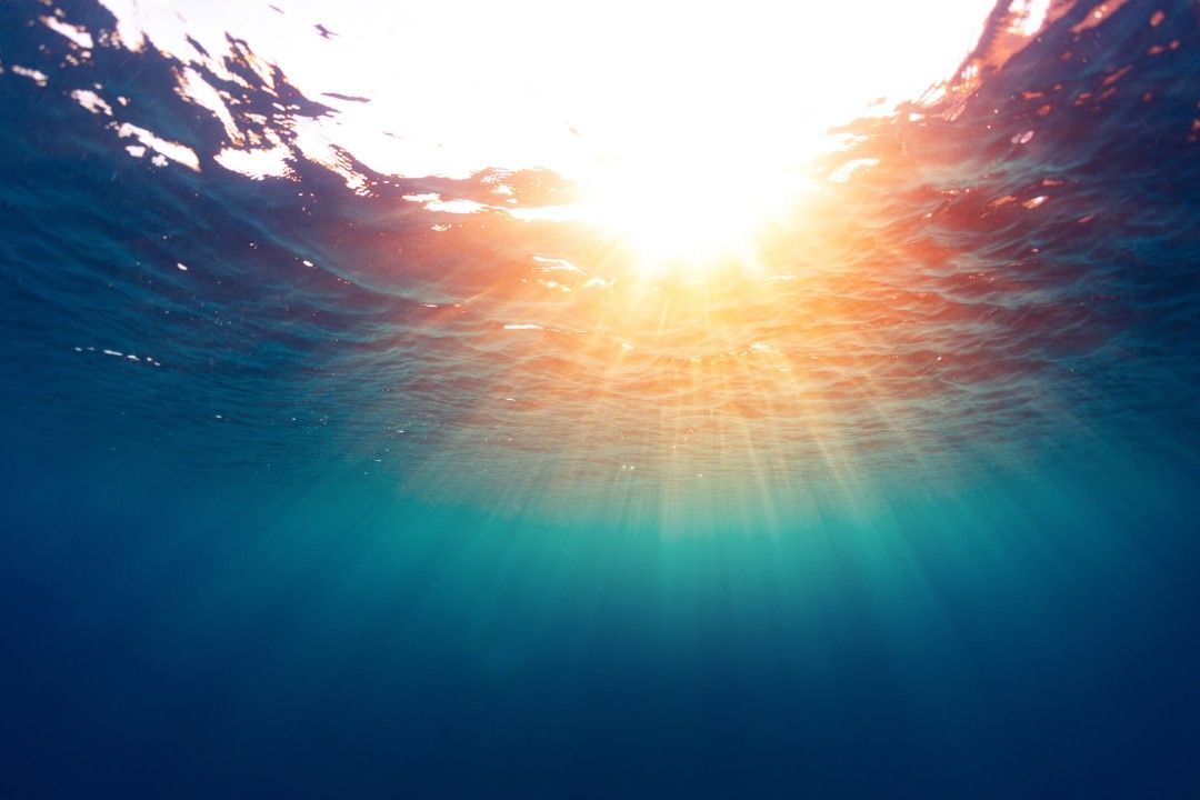 Scott Tvaroh on LinkedIn: John Downie on LinkedIn: Extracting more from ... Scott Tvaroh on LinkedIn: John Downie on LinkedIn: Extracting more from ...