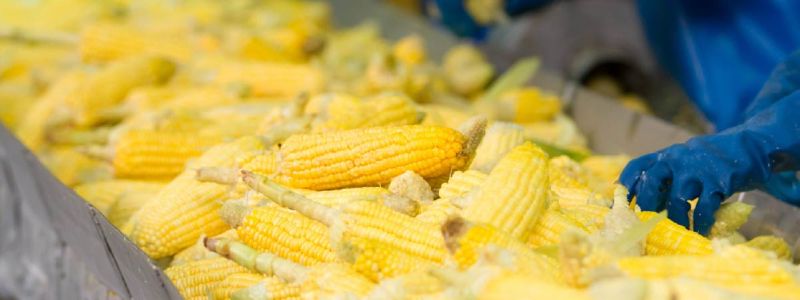 Bryson Edwards on LinkedIn: Minimizing the Impact of Food Product Recalls Bryson Edwards on LinkedIn: Minimizing the Impact of Food Product Recalls