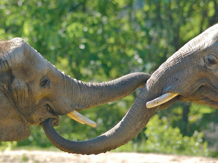 United States PostgreSQL Association on LinkedIn: United States ... United States PostgreSQL Association on LinkedIn: United States ...