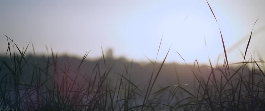 SEHA SHEIKH KHALIFA MEDICAL CITY on LinkedIn: Beyond medical and ... SEHA SHEIKH KHALIFA MEDICAL CITY on LinkedIn: Beyond medical and ...