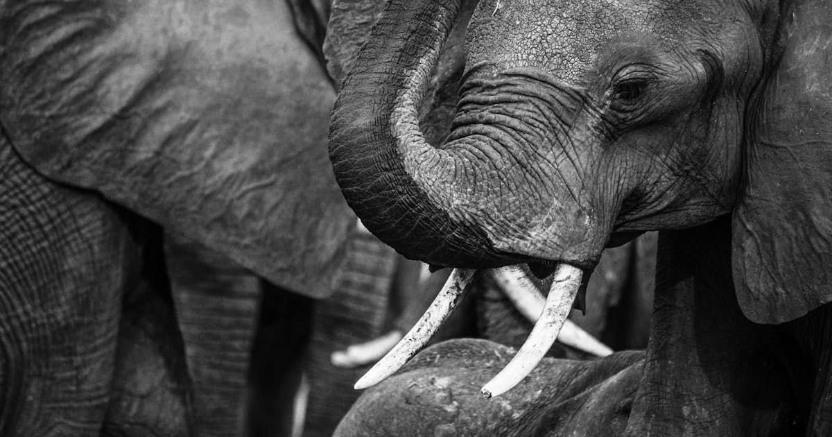 ChistaDATA Inc. on LinkedIn: Advanced PostgreSQL Optimization ChistaDATA Inc. on LinkedIn: Advanced PostgreSQL Optimization