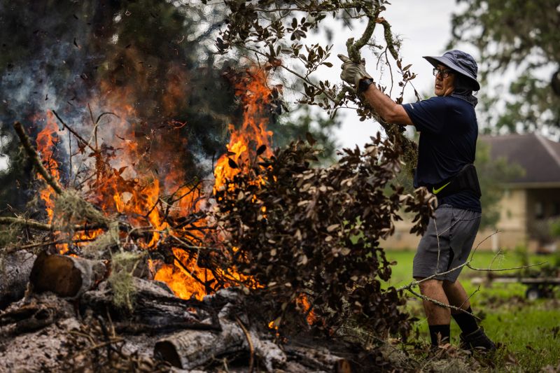 Houston Landing on LinkedIn: Why did so many trees fall after Hurricane ... Houston Landing on LinkedIn: Why did so many trees fall after Hurricane ...