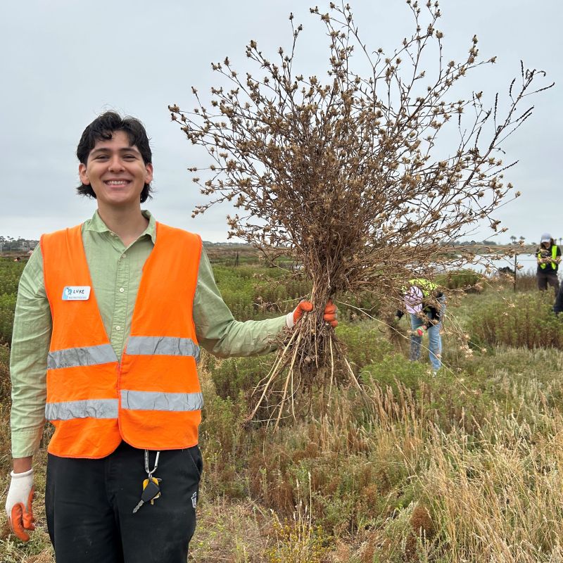 Bolsa Chica Conservancy on LinkedIn: Bolsa Chica Intern Spotlight: Luke ... Bolsa Chica Conservancy on LinkedIn: Bolsa Chica Intern Spotlight: Luke ...