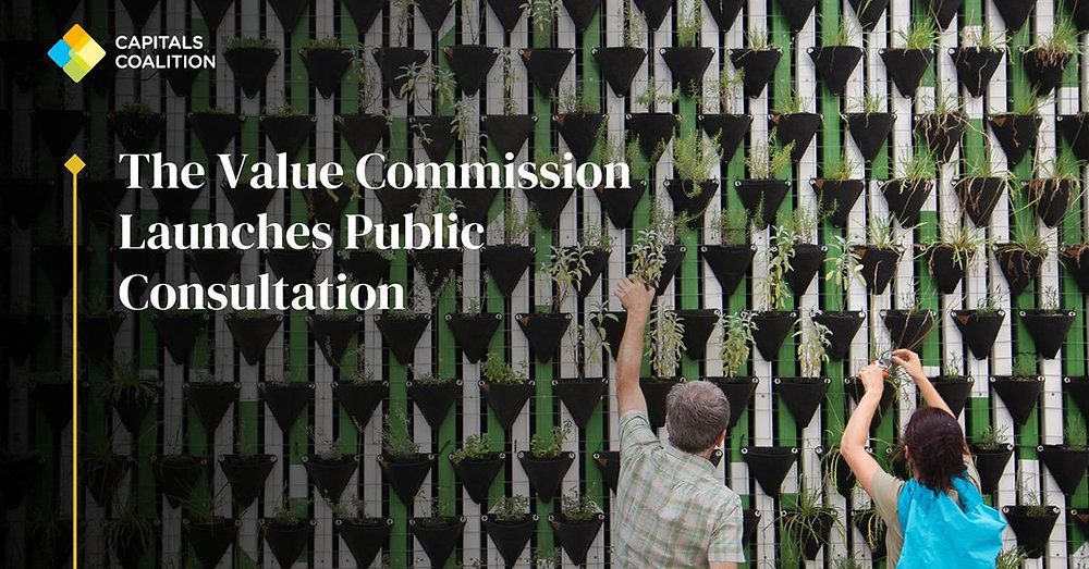 Natural Capital Ireland on LinkedIn: Values Commission seeks input to ... Natural Capital Ireland on LinkedIn: Values Commission seeks input to ...