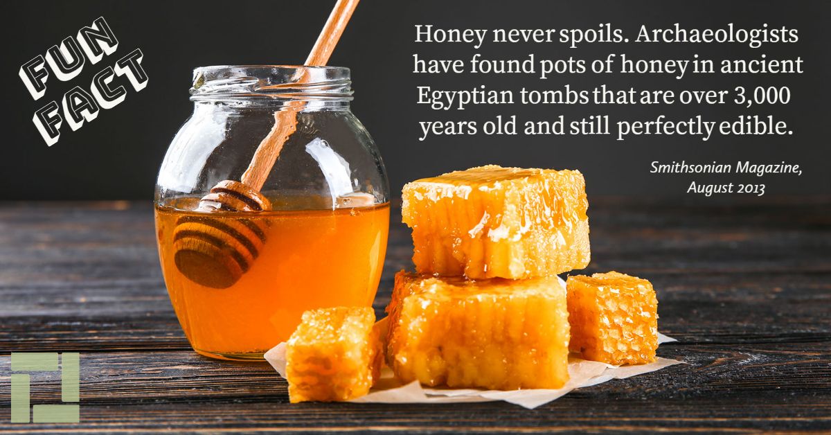 Adam Drake, CFA on LinkedIn: Fun Fact: Honey never spoils ... Adam Drake, CFA on LinkedIn: Fun Fact: Honey never spoils ...