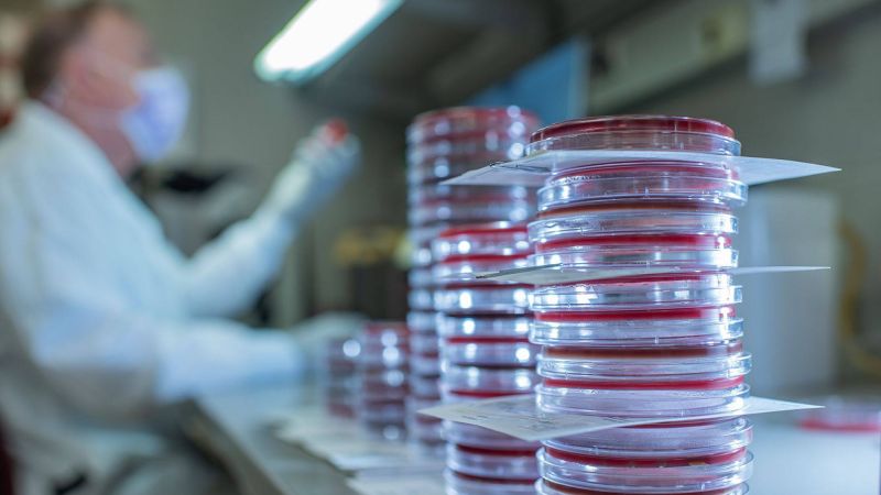 Alex Bollwage on LinkedIn: Invasive Fungal Infection - Insights Alex Bollwage on LinkedIn: Invasive Fungal Infection - Insights