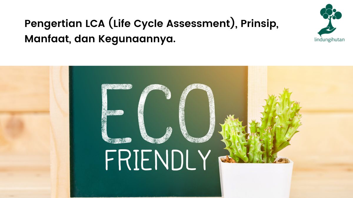 Marcom and PR LindungiHutan on LinkedIn: Pengertian LCA (Life Cycle ... Marcom and PR LindungiHutan on LinkedIn: Pengertian LCA (Life Cycle ...