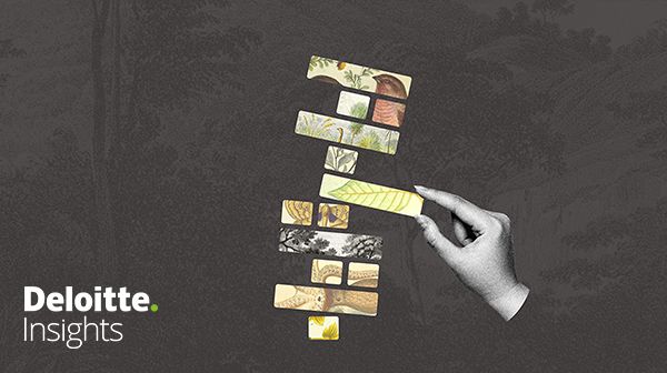 Ruben Ventocilla, CPA on LinkedIn: At the moment, biodiversity ... Ruben Ventocilla, CPA on LinkedIn: At the moment, biodiversity ...