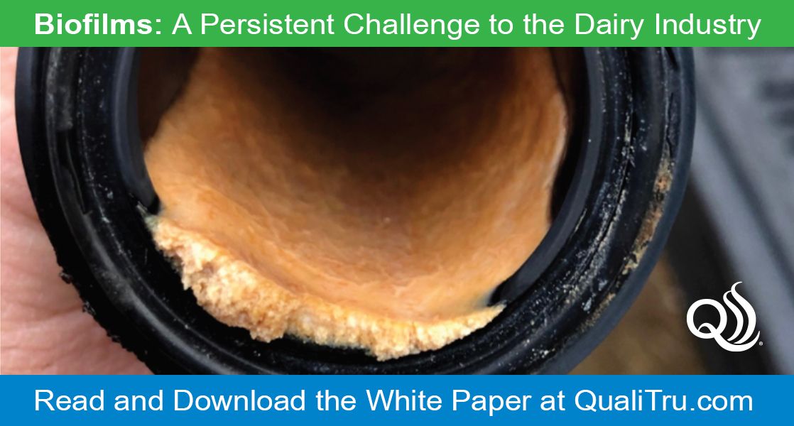 QualiTru Sampling Systems (Formerly QMI) on LinkedIn: QA – Biofilm ... QualiTru Sampling Systems (Formerly QMI) on LinkedIn: QA – Biofilm ...
