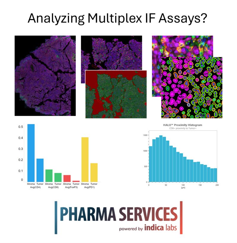 Indica Labs on LinkedIn: #haloimageanalysis Indica Labs on LinkedIn: #haloimageanalysis