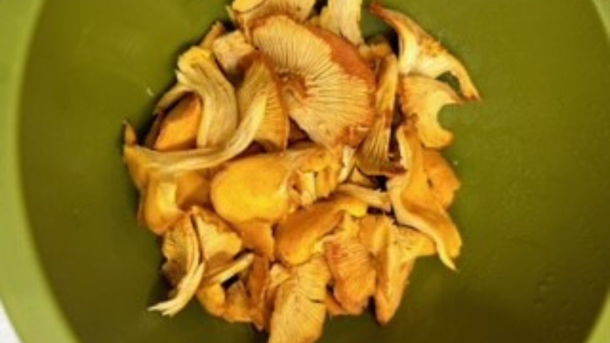 Dave Lavender on LinkedIn: Appalachian Mushroom Experts Welcome ... Dave Lavender on LinkedIn: Appalachian Mushroom Experts Welcome ...