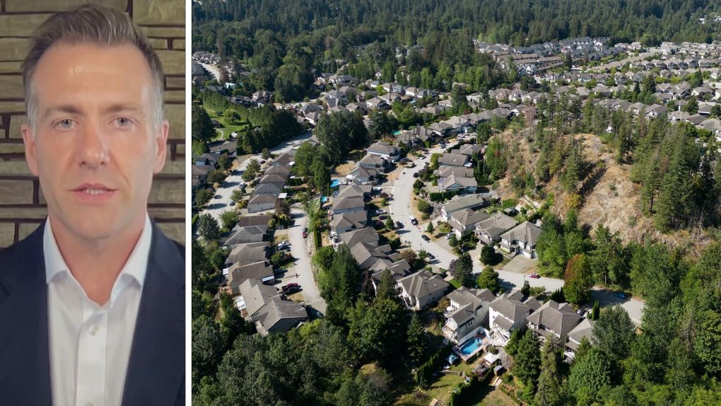 Curtis Thorne on LinkedIn: This analyst says Canada has one of the ... Curtis Thorne on LinkedIn: This analyst says Canada has one of the ...