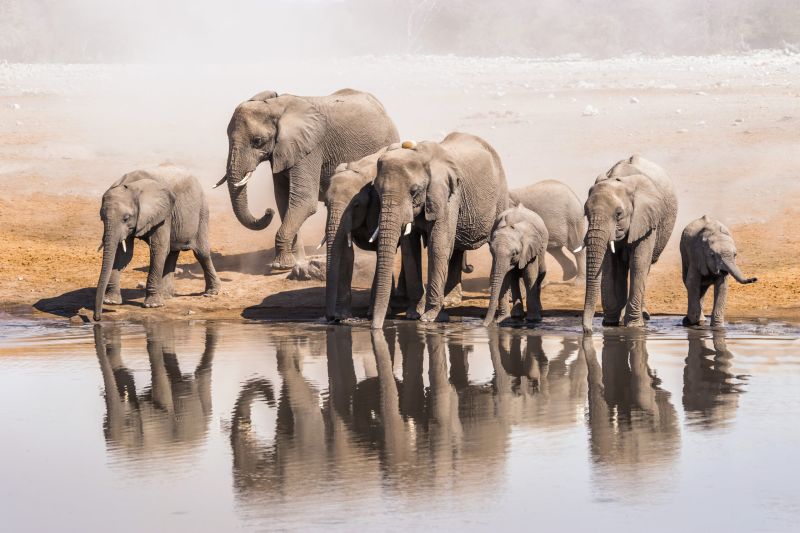MinervaDB on LinkedIn: Optimizing PostgreSQL Performance with Execution ... MinervaDB on LinkedIn: Optimizing PostgreSQL Performance with Execution ...