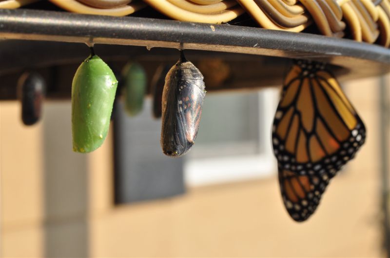 Paul Zabala on LinkedIn: Harnessing Past Failures for Future Success: A ... Paul Zabala on LinkedIn: Harnessing Past Failures for Future Success: A ...