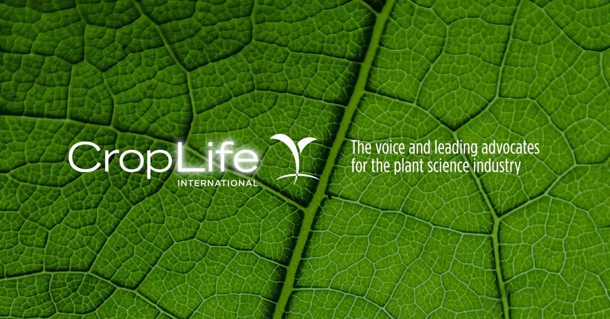 CropLife Canada on LinkedIn: Pollinator Protection Vital To Crop ... CropLife Canada on LinkedIn: Pollinator Protection Vital To Crop ...