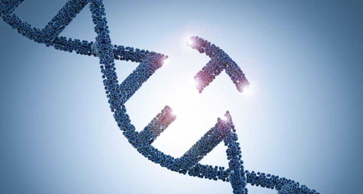 Deutsches Ärzteblatt on LinkedIn: EMA empfiehlt erstmals Zulassung ... Deutsches Ärzteblatt on LinkedIn: EMA empfiehlt erstmals Zulassung ...