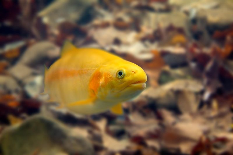 Andrea Bond on LinkedIn: Embark on an Angling Adventure with West ... Andrea Bond on LinkedIn: Embark on an Angling Adventure with West ...
