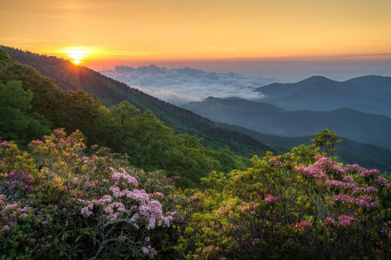 Dave Lavender on LinkedIn: Appalachian Forest National Heritage Area ... Dave Lavender on LinkedIn: Appalachian Forest National Heritage Area ...