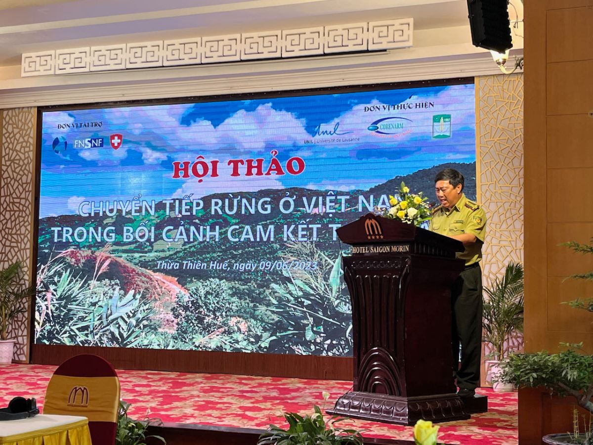 Christian Kull on LinkedIn: Reflecting on the future of Vietnam’s forests Christian Kull on LinkedIn: Reflecting on the future of Vietnam’s forests