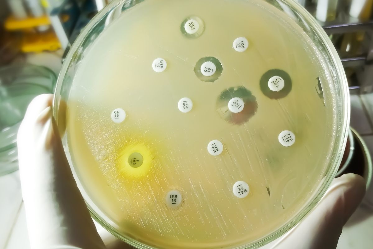 SynBioBeta on LinkedIn: Eli Lilly Collaborates with OpenAI to Discover ... SynBioBeta on LinkedIn: Eli Lilly Collaborates with OpenAI to Discover ...