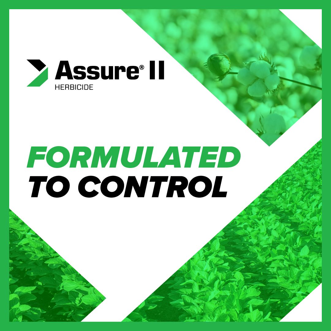 AMVAC: An American Vanguard Company on LinkedIn: Assure® II Herbicide ... AMVAC: An American Vanguard Company on LinkedIn: Assure® II Herbicide ...
