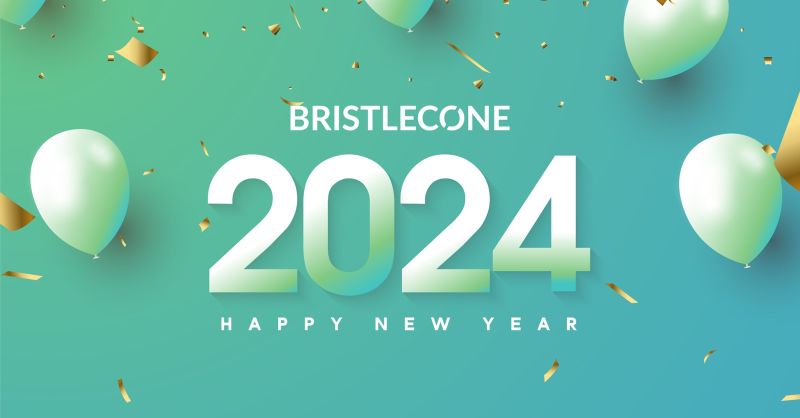 Bristlecone on LinkedIn: #bristlecone #happy2024 #newyear #supplychain Bristlecone on LinkedIn: #bristlecone #happy2024 #newyear #supplychain