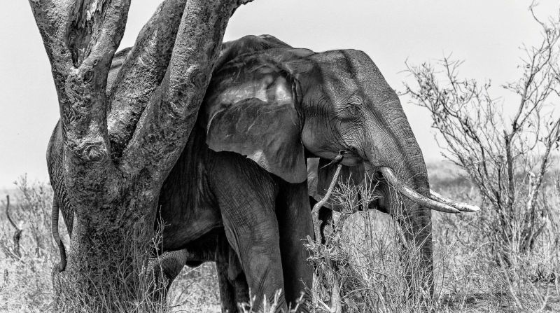 Douglas Hunley on LinkedIn: Enhancing PostgreSQL Performance Monitoring ... Douglas Hunley on LinkedIn: Enhancing PostgreSQL Performance Monitoring ...