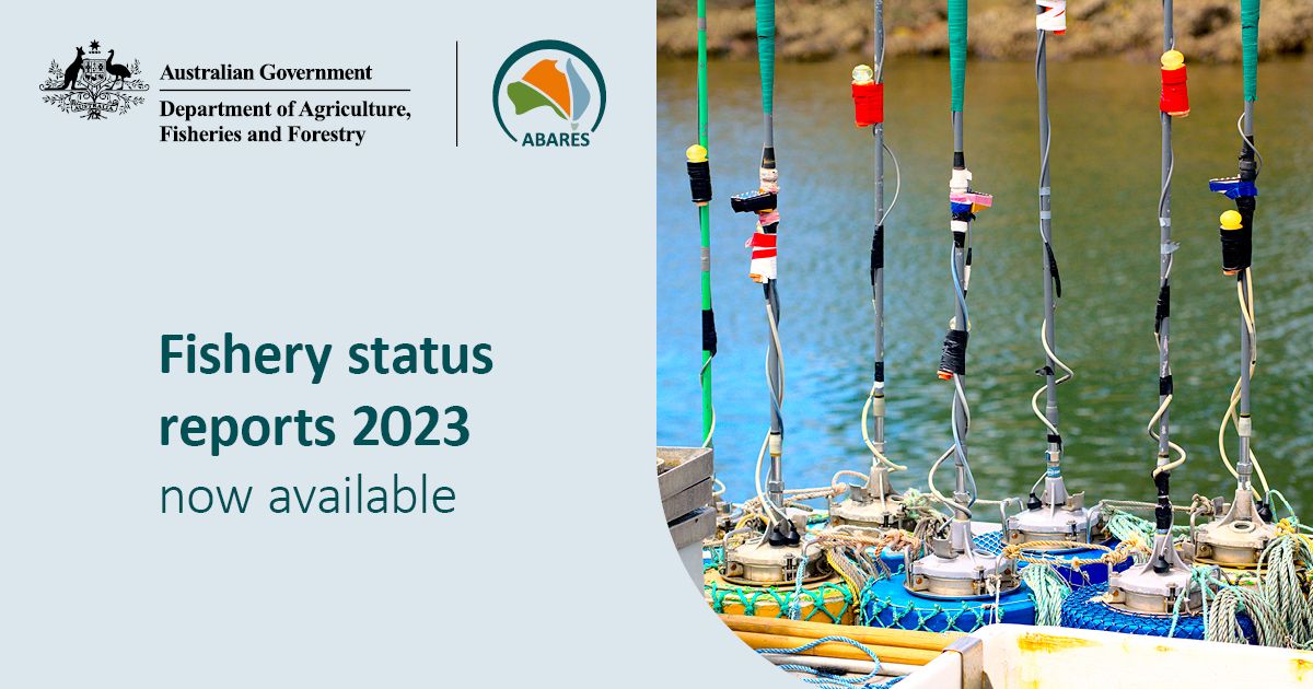 Krystle Keller on LinkedIn: Our 2023 ABARES Fishery Status Reports have ... Krystle Keller on LinkedIn: Our 2023 ABARES Fishery Status Reports have ...