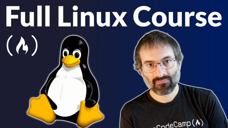 freeCodeCamp on LinkedIn: Introduction to Linux freeCodeCamp on LinkedIn: Introduction to Linux