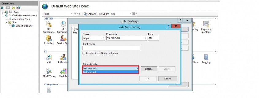 SSL Missing from Windows Server Certificate List SSL Missing from Windows Server Certificate List