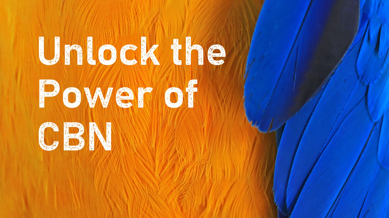 Unlocking the Power of CBN: A Midlife Rejuvenation for Professionals Unlocking the Power of CBN: A Midlife Rejuvenation for Professionals