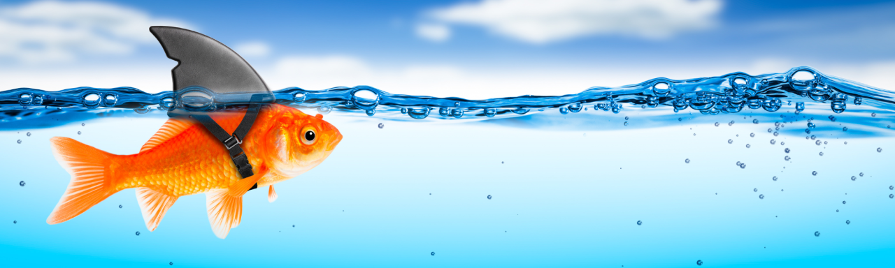 Why is it Hard to Change Habits? Why is it Hard to Change Habits?