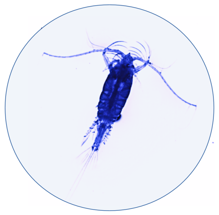 Data from the Deep Ocean! Data from the Deep Ocean!