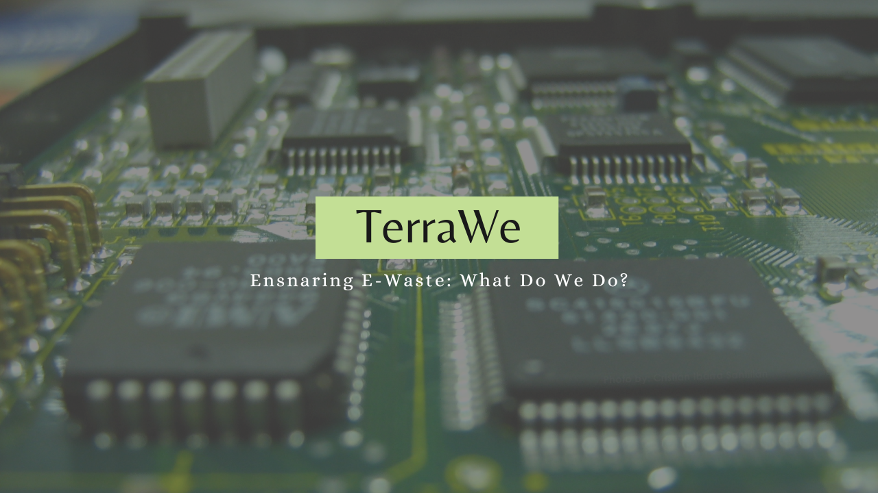 Ensnaring E-Waste: What Do We Do? Ensnaring E-Waste: What Do We Do?