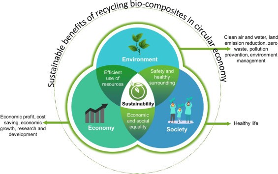 Ned’s Composites Newsletter – The Circular Economy and Sustainability Ned’s Composites Newsletter – The Circular Economy and Sustainability
