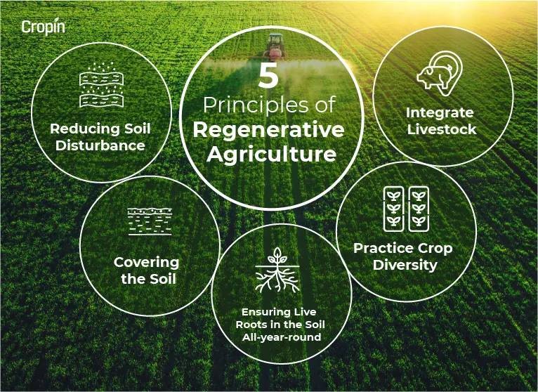 Regenerative Agriculture- Principles & Practices Regenerative Agriculture- Principles & Practices