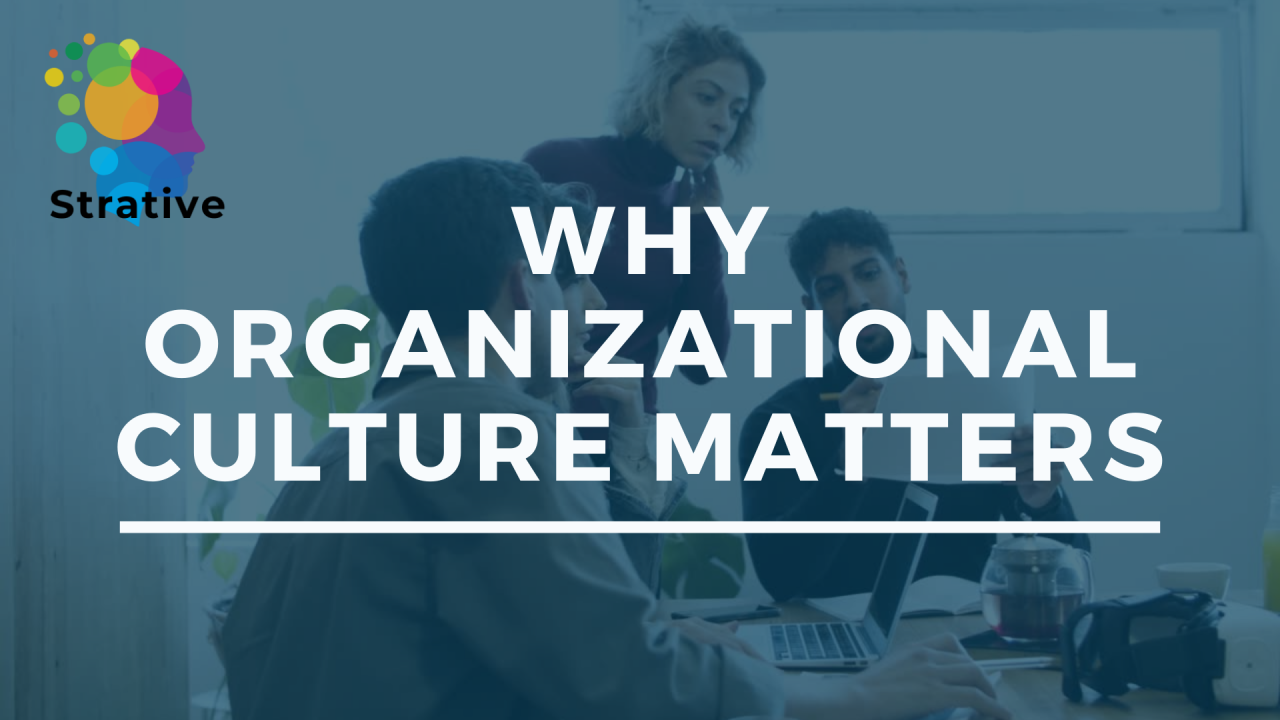 Why Understanding Your Organizational Culture Matters Why Understanding Your Organizational Culture Matters
