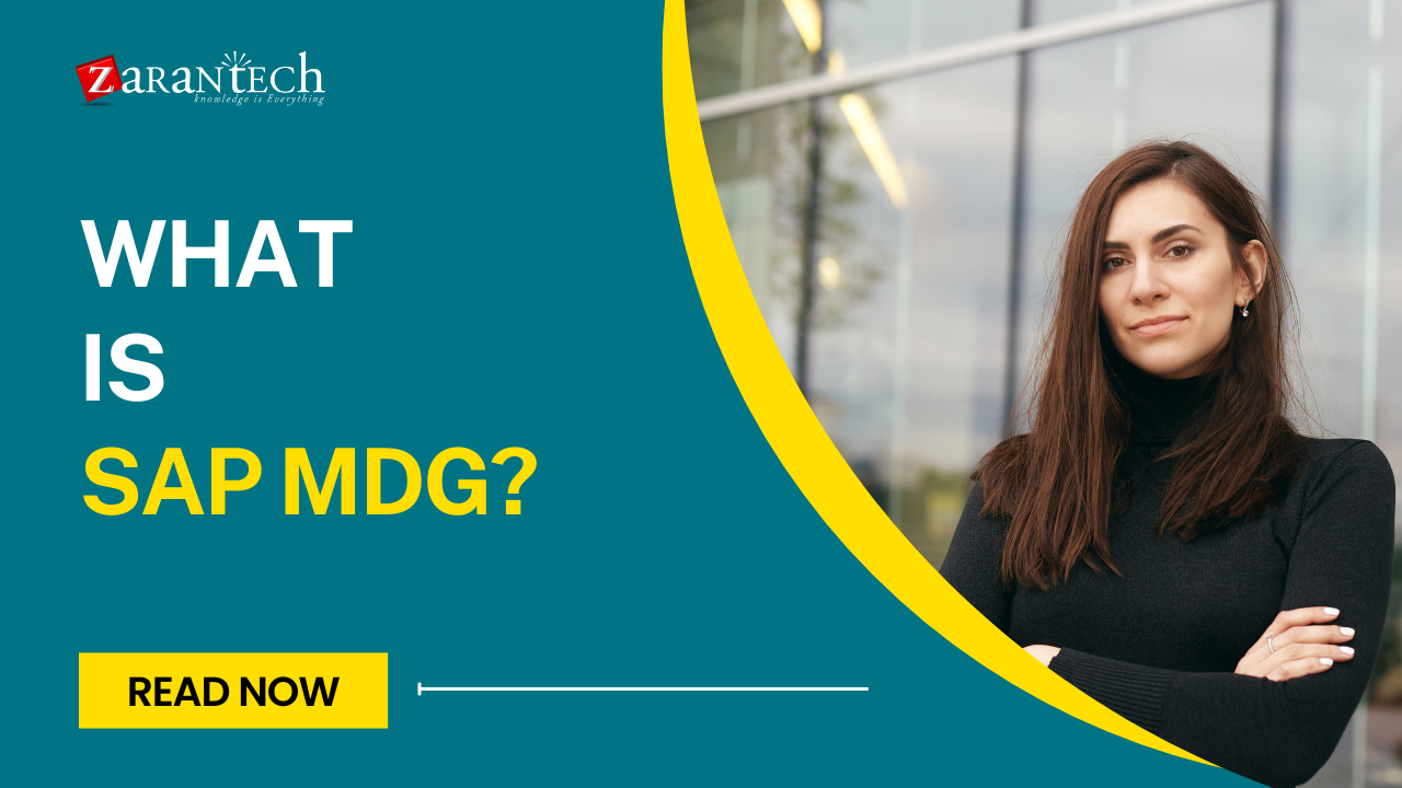 What Is SAP MDG? What Is SAP MDG?