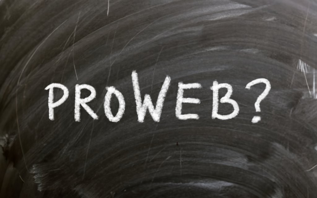 What does a professional website look like? What does a professional website look like?