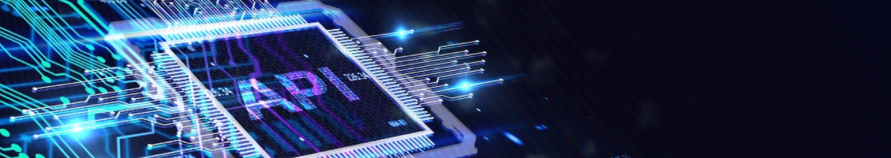 Importance of API Documentation Importance of API Documentation
