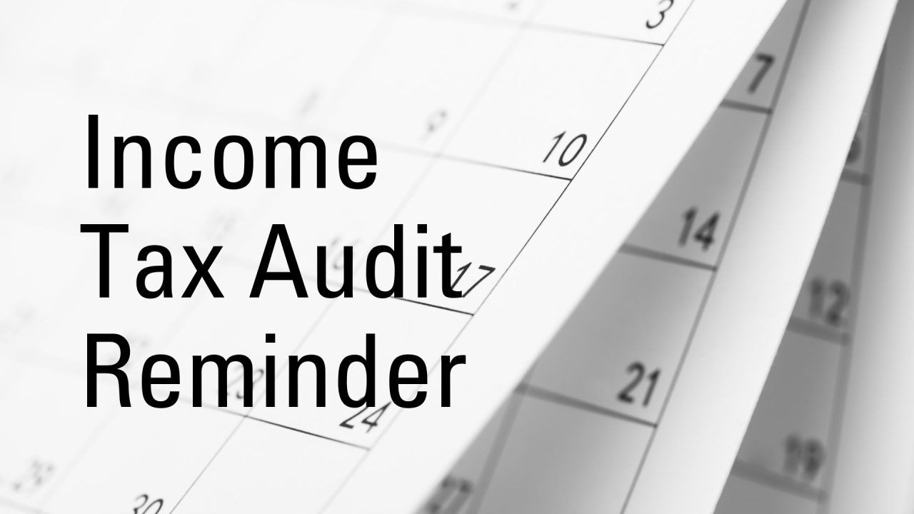 Income Tax Audit Reminder: Avoiding Common Mistakes Income Tax Audit Reminder: Avoiding Common Mistakes