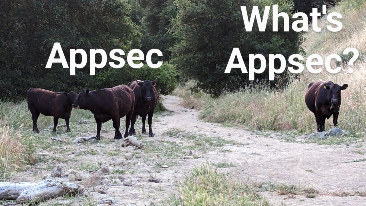 Getting Started With Appsec Getting Started With Appsec